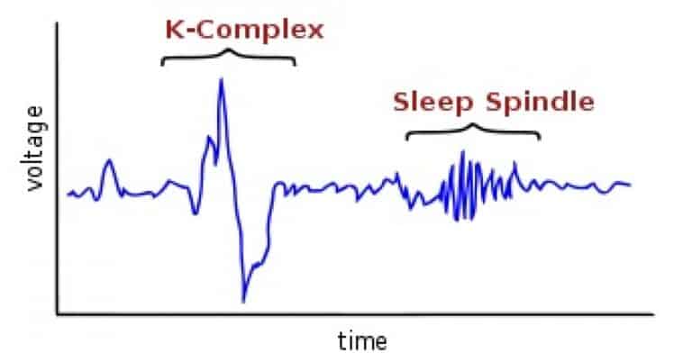 The Four Stages of Sleep: Detailed Explanation - Sleepless Zone